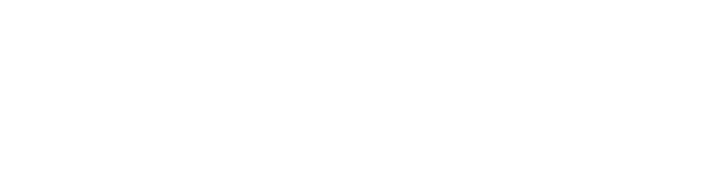 SOHO – COMET INTERNET